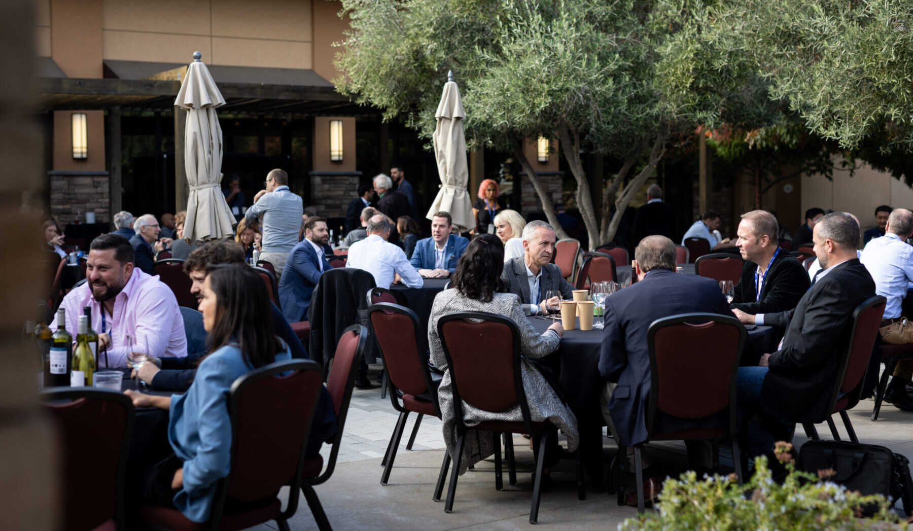 California Wines | Global Buyers Marketplace - Napa Valley | Networking