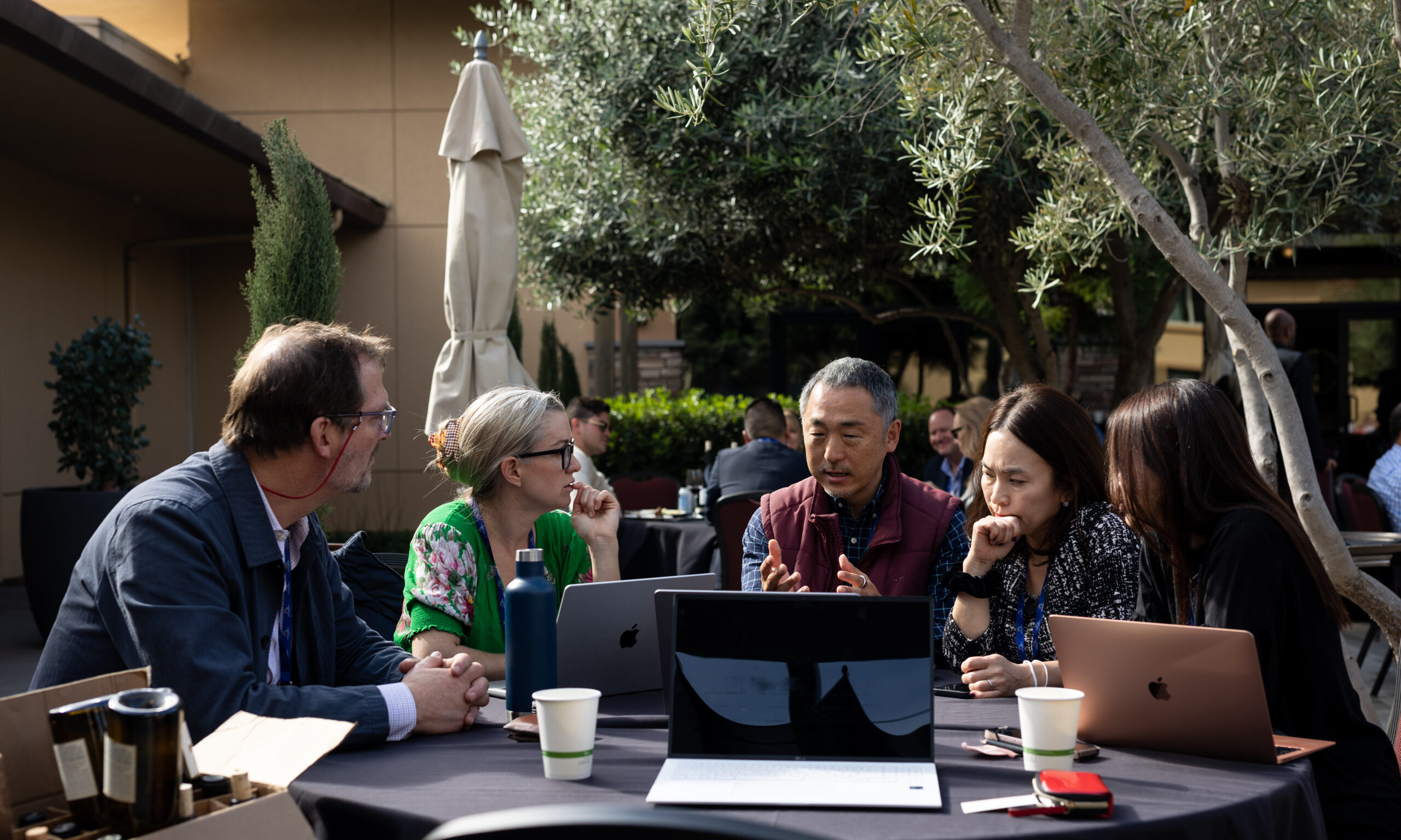 California Wines | Networking